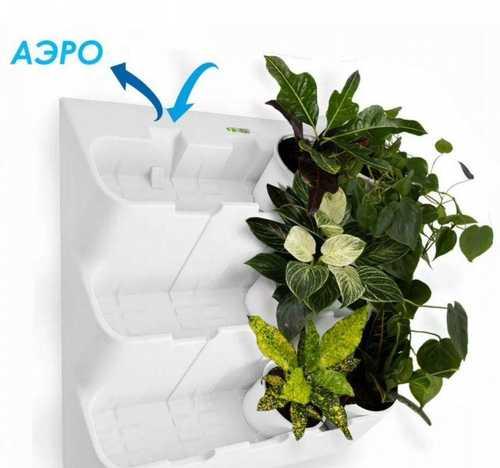 Фитомодуль boxsand