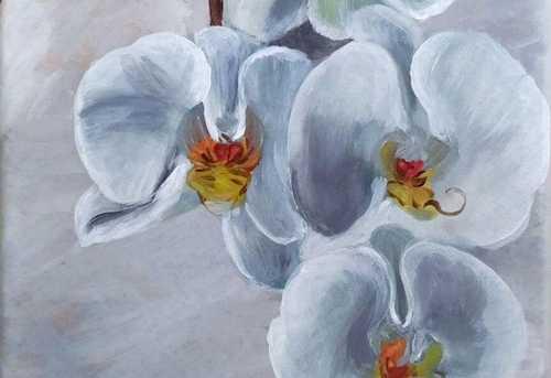Интерьерная картина Орхидея белая