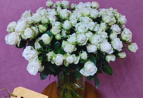 Букет кустовых пионовидных роз Мисс Бомбастик 27 ш