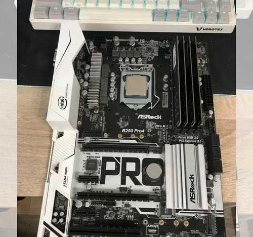 Asrock b250 pro4