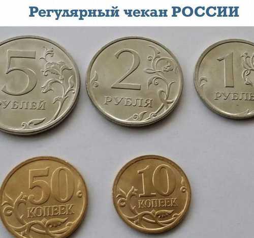 Регулярный чекан России