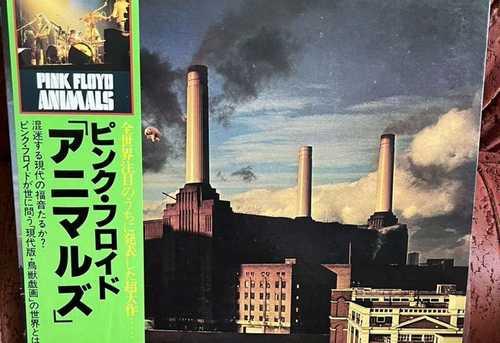 Pink Floyd Animals Japan