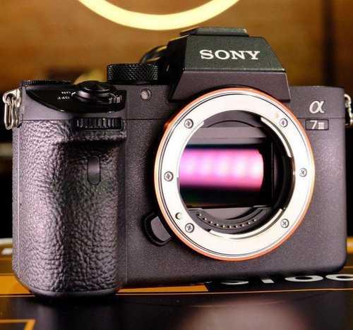 Sony Alpha ilce-7M3 Body (Б/У) ин 10241136