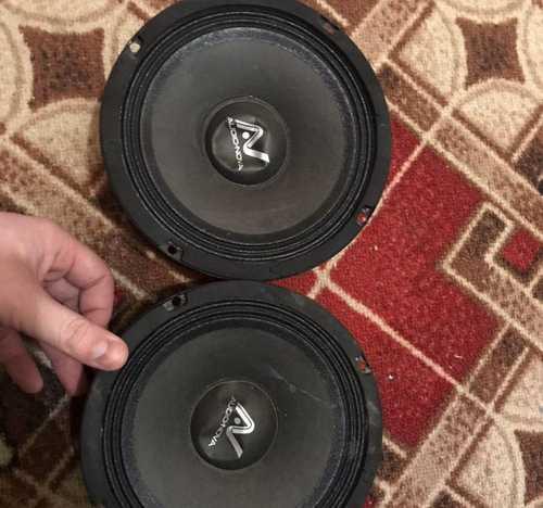 Динамики audio nova
