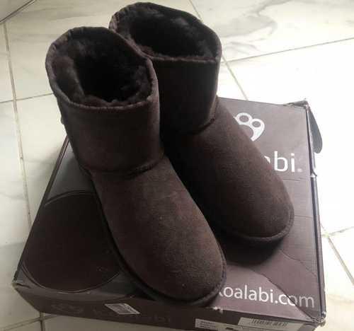 Ugg koalabi Australia