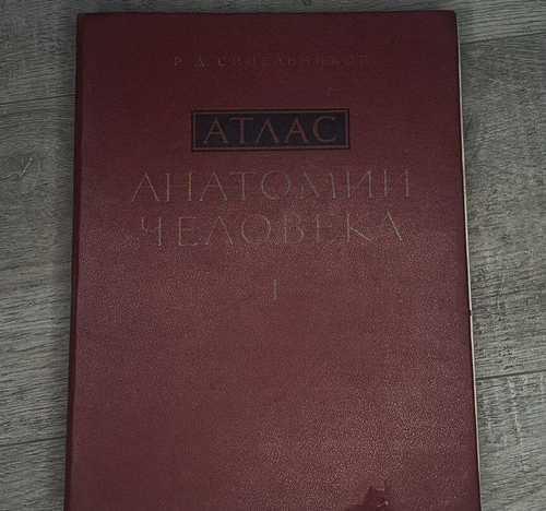 Атлас по анатомии синельников