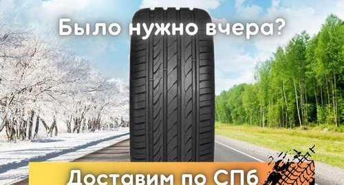 Delinte DH2 205/55 R16