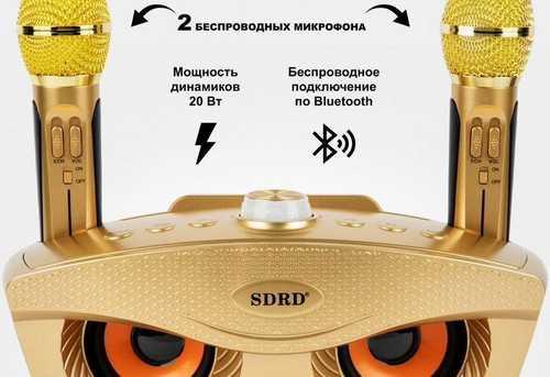 Караоке система с беспроводными микрофонами