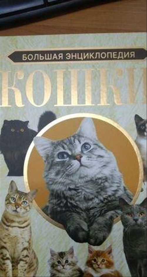 Книга "Кошки"