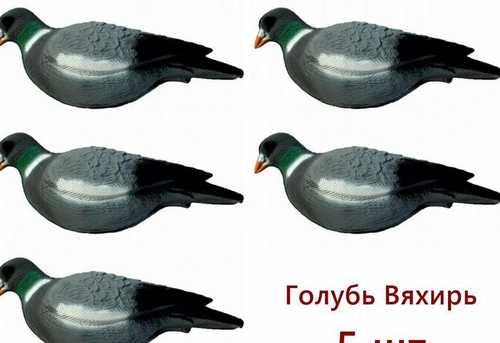 Чучела голубя вяхиря, 5 шт