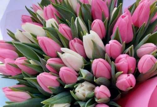 Тюльпаны на 8 марта оптом и в розницу