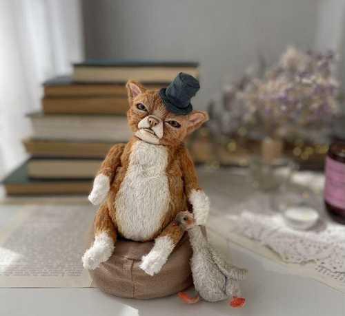 Кот экзот тедди