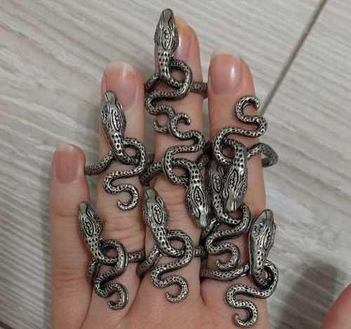Кольца змеи