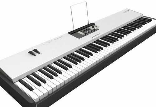 Studiologic Acuna 88 (С доставкой)