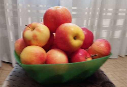 Яблоки домашние