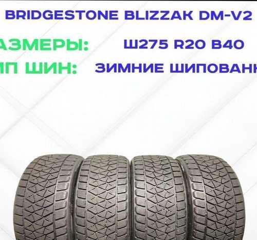 Bridgestone Blizzak DM-V2 275/40 R20