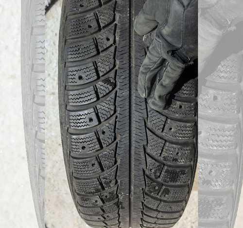 Gislaved Nord Frost 5 205/50 R17