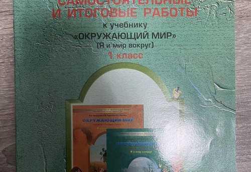 Самост. и итоговые работы по окр. миру(1 класс)