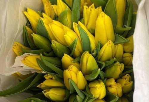 Цветы на 14 февраля. Тюльпаны доставка