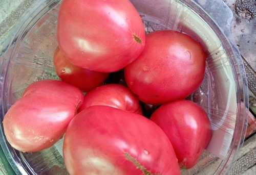 Семена томата Бычье сердце 30 штук в пакетике