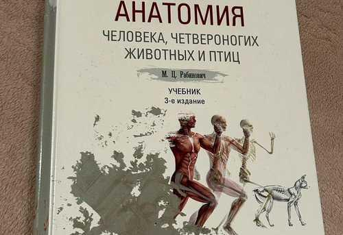 Пластическая анатомия. Рабинович М.Ц