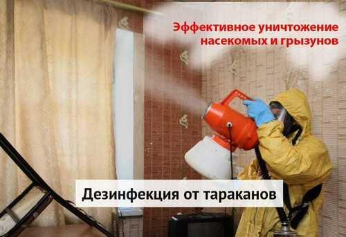 Уничтожение клопов тараканов лечение растений