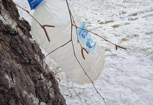 Березовый сок заморожен отлично взять в баньку