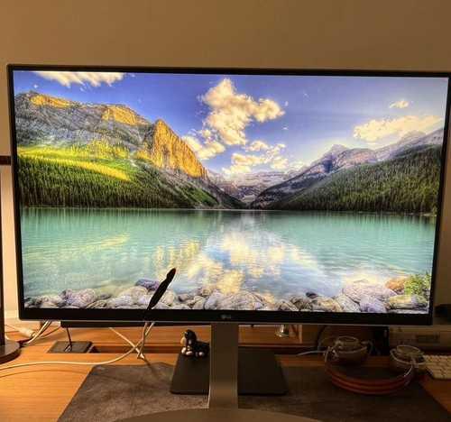 Монитор LG 27" 4K 27UD88 поврежден