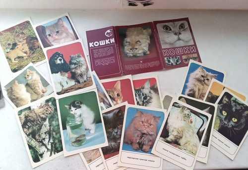 Набор открыток кошки СССР 1989 год полный 18 штук