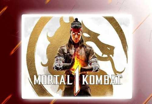 Mortal Kombat 1/11 на PS5/PS4 dk-3883