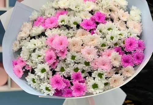 Букет цветов из хризантемы Гигант с доставкой