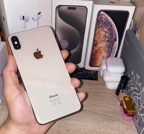 iPhone Xs Max, 256 ГБ