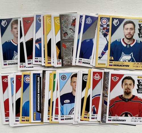 Наклейки panini кхл 2024 2025