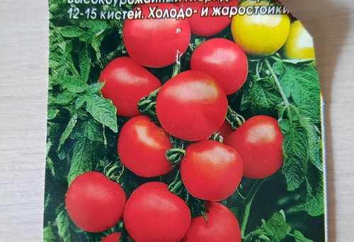 Рассада помидор для солки и салатов