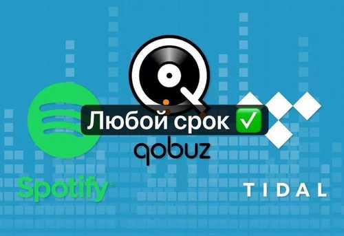 Qobuz Spotify Tidal Deezer подписка