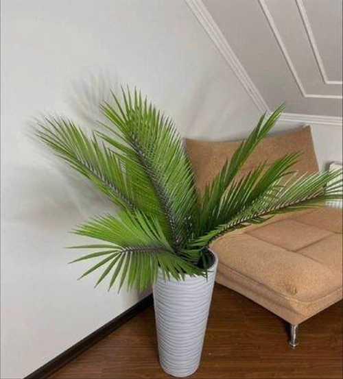 Декоративная пальма в кашпо