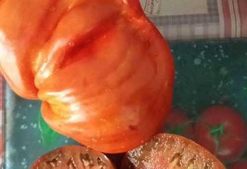 Коллекционные семена томатов и перцев