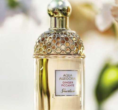 Guerlain Aqua Allegoria Ginger Piccante 100% 1мл