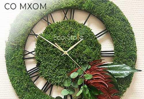 Стабилизированный мох.Часы из мха 45 см flora