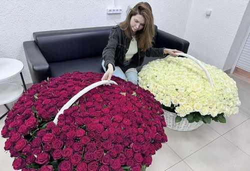 Гигантские букеты роз в корзине 301, 501, 1001