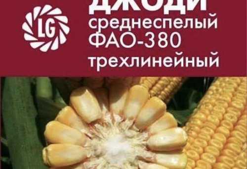 Семена кукурузы лг джоди фао 380
