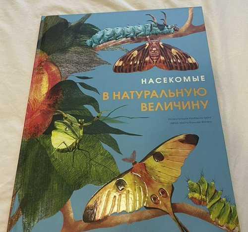 Насекомые в натуральную величину книга