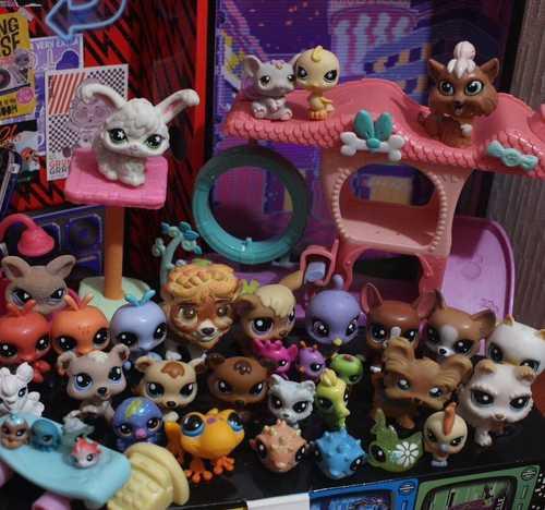 Littlest pet shop lps и аксессуары
