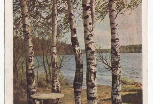 1963/Почтовая открытка/ссср/Водный пейзаж