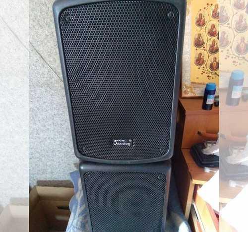 Soundking комплект звука 200ватт