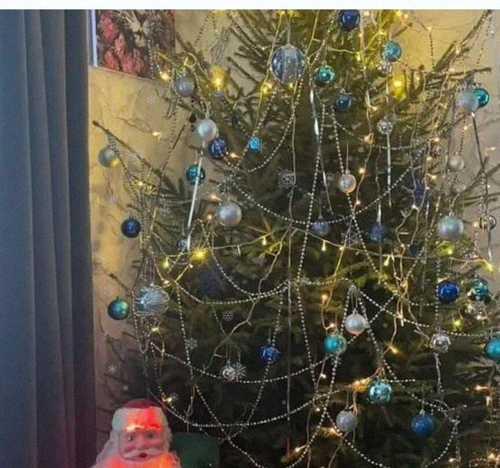 Срез Ель нг