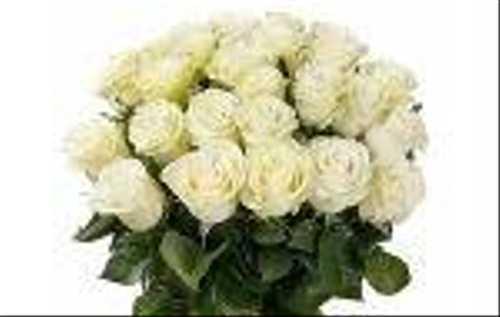 Букет из 29 белых роз, цветы доставка