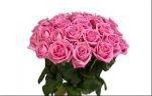 Букет из 29 розовых роз 60 см, цветы доставка