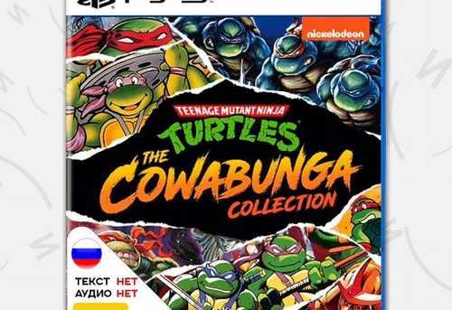Игра Teenage Mutant Ninja Turtles: The Cowabunga C