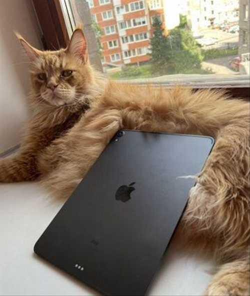 iPad Pro 11 2018 64gb Ростест